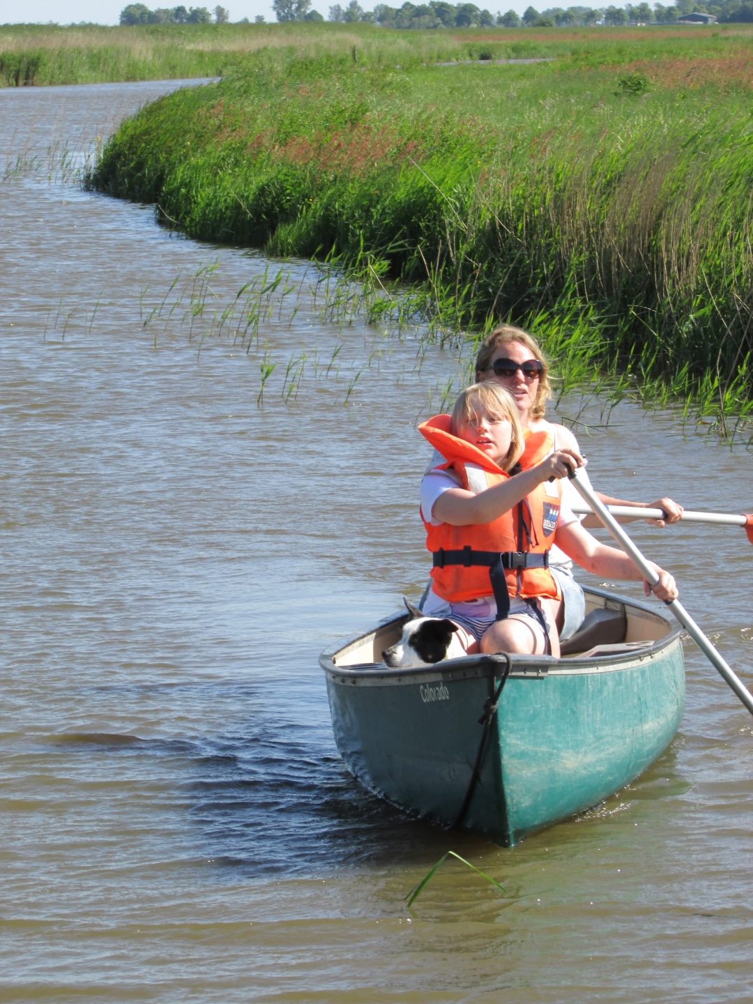 My new normal - Nomadic Dad